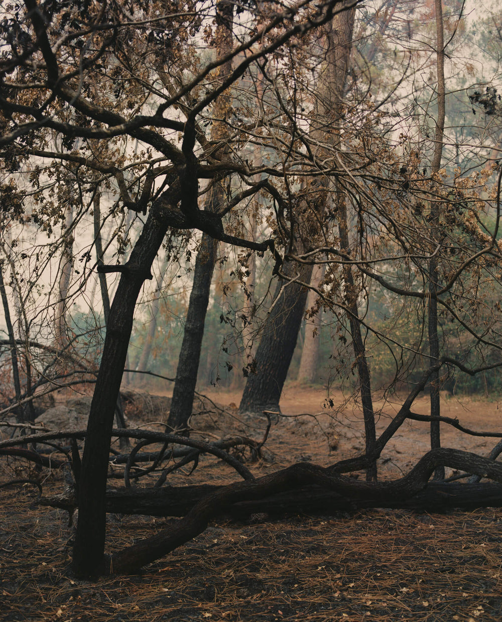 A fire from the inside - submissionbeauty